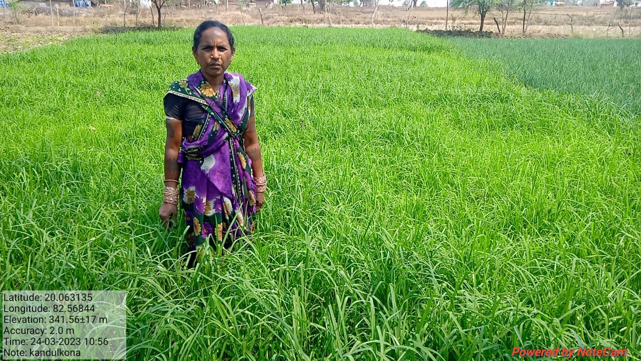 About SVA Odisha -NGO focusing on Ending Poverty & Social Injustice